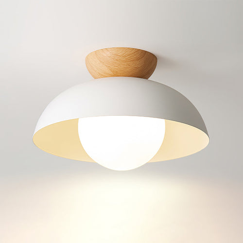 Lampsmodern Minimalist Eco-friendly Metal Ceiling Light Aisle Ceiling Lamp