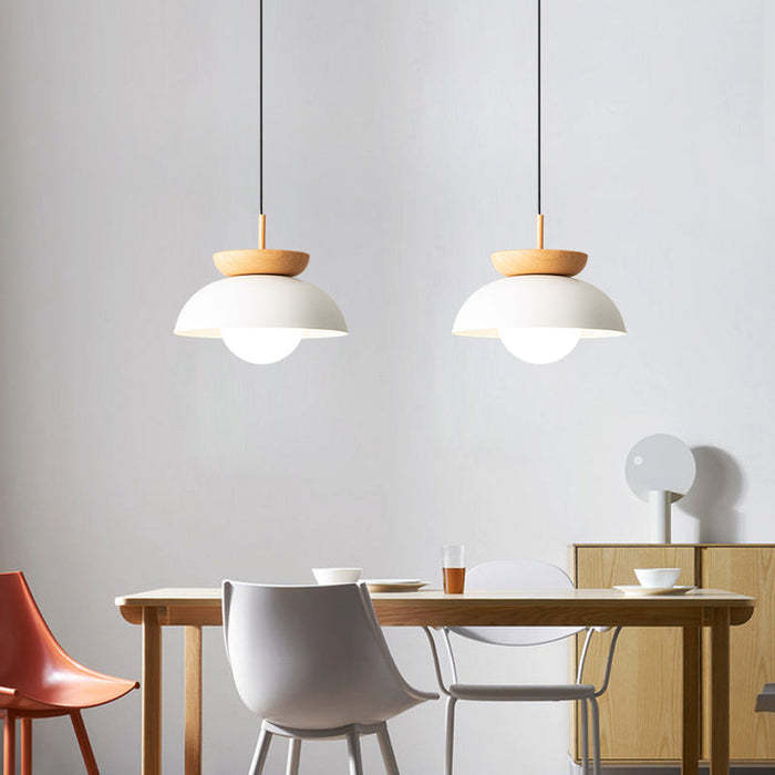 Lampsmodern Modern Pendant Light Black Pendant Lamp Hanging Ceiling ...
